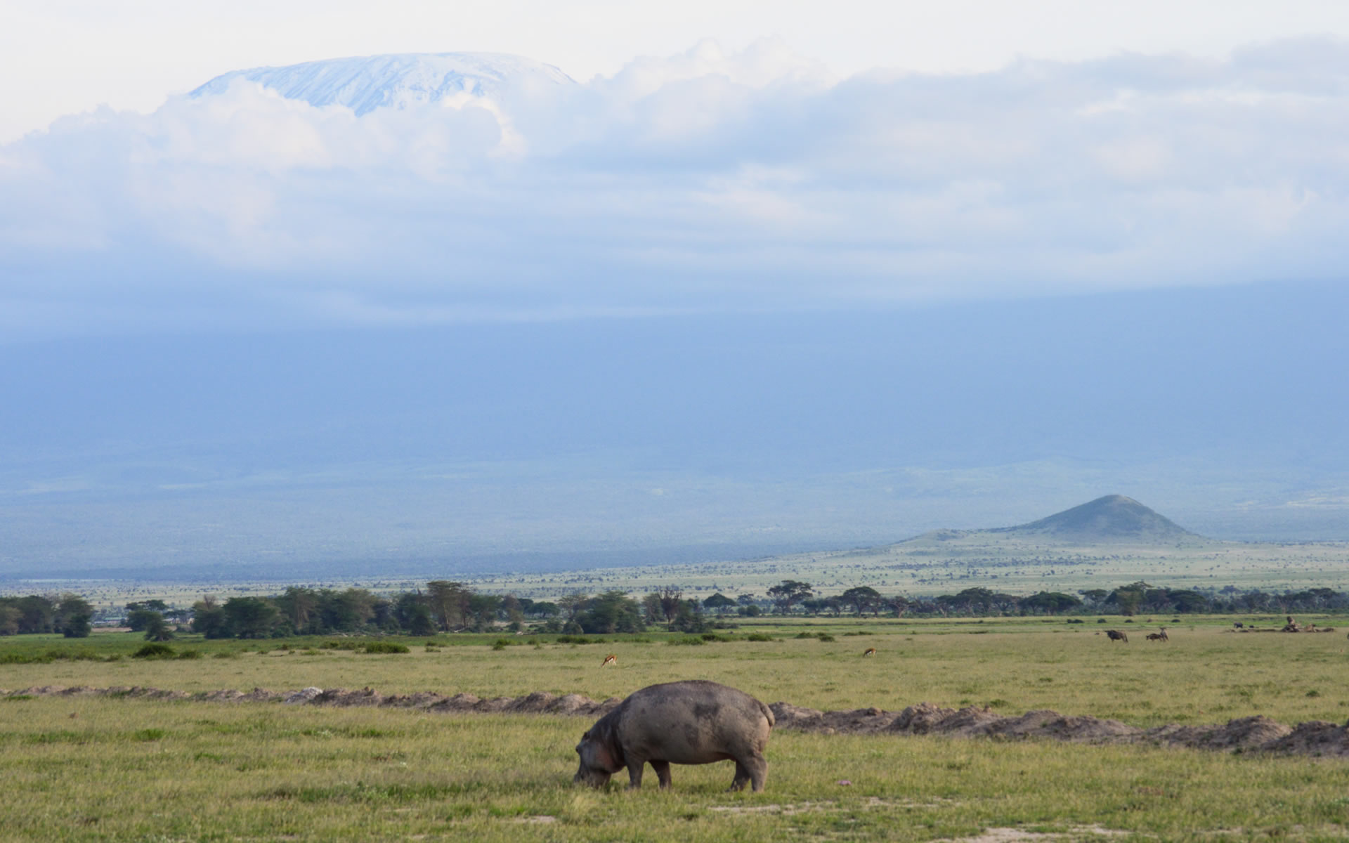 Amboseli National Park | Across Wilderness Expedition